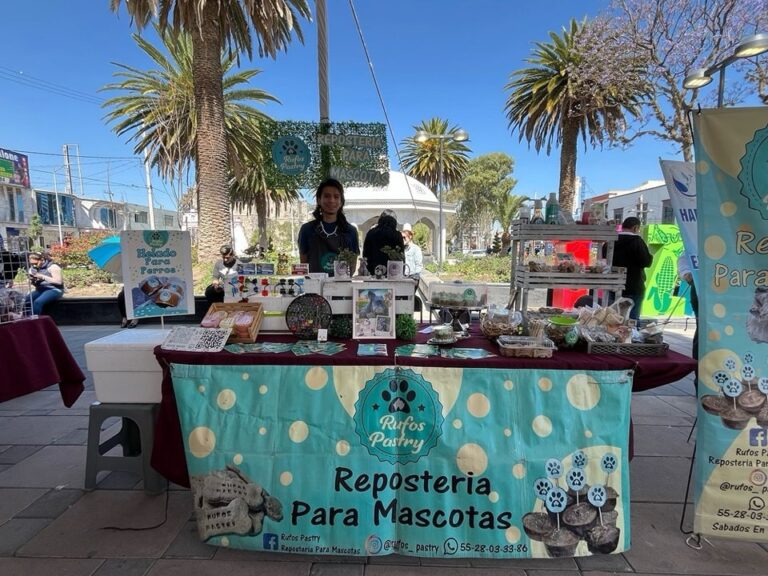 Abre Festival Metsi 2025 espacios para jóvenes emprendedores de ...